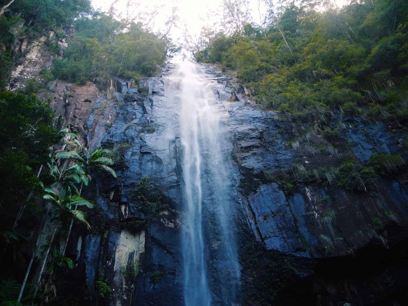 Waterfalls Trees Sky